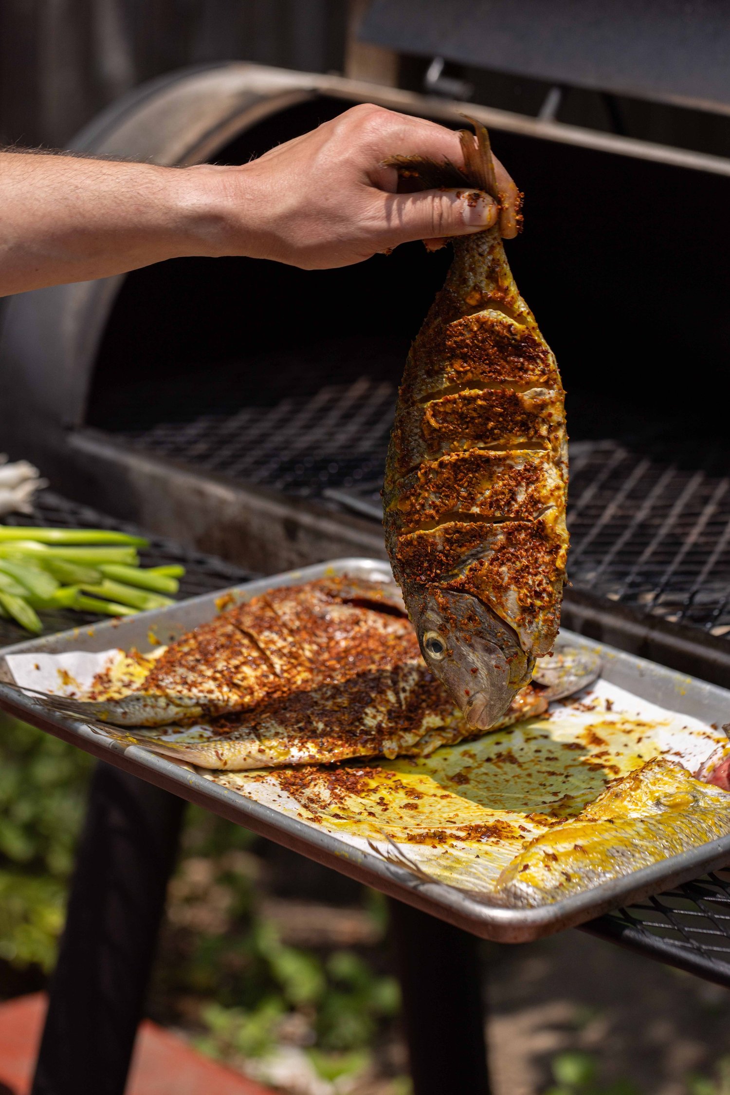 Grilled Fish with Preserved Lemon and Herby Harissa — Middle Eastern ...