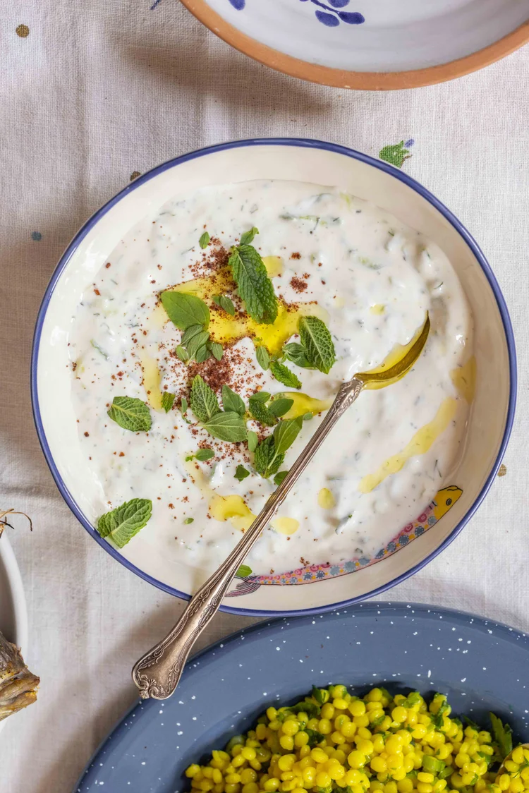Tzatziki — Middle Eastern Pantry & Recipes | New York Shuk