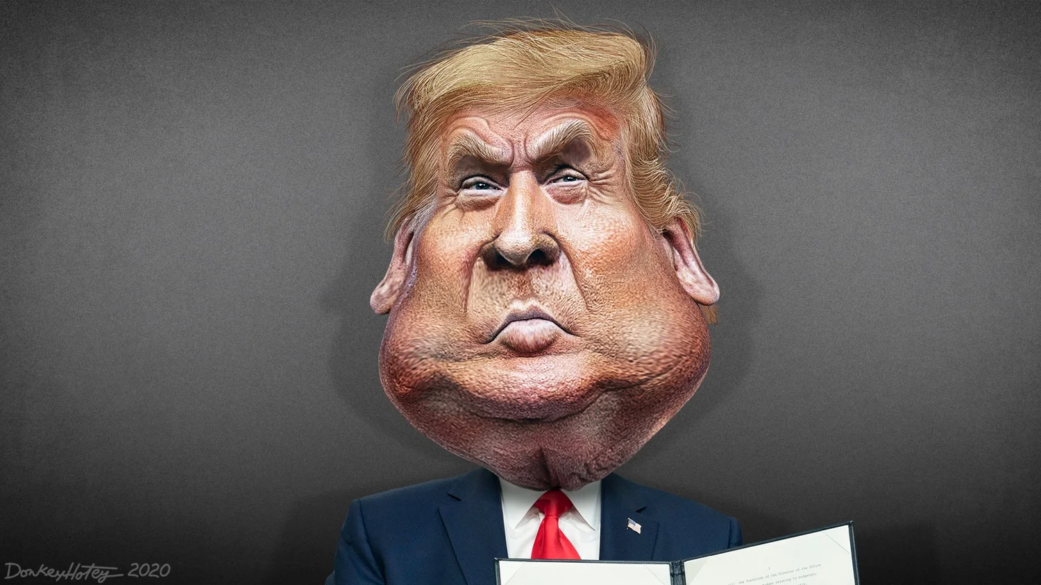 Caricatures Flickr 2020 and 2019 — DonkeyHotey