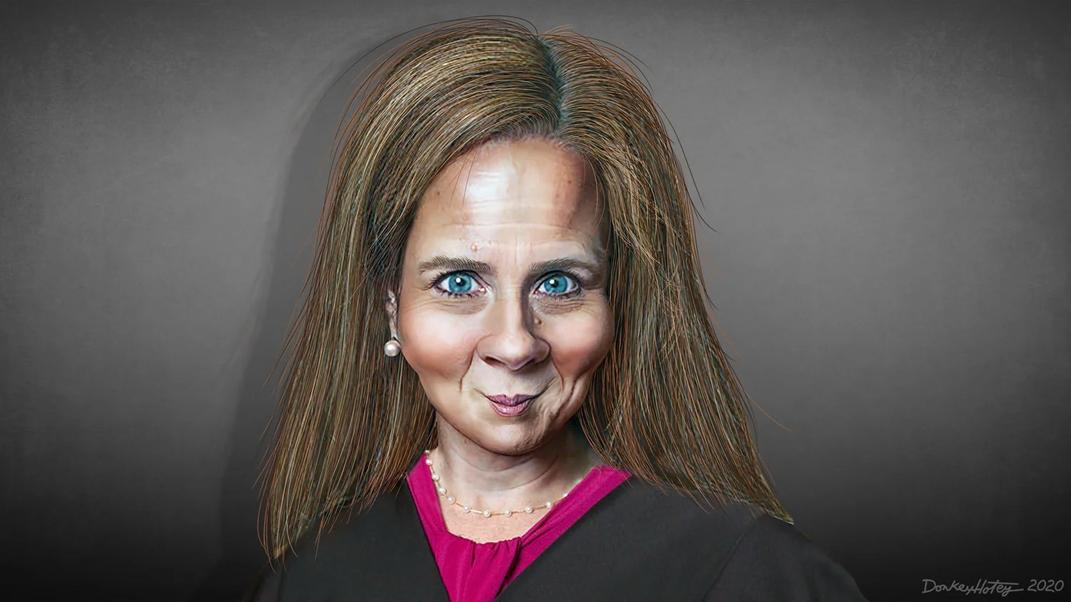 Caricatures Flickr 2020 and 2019 — DonkeyHotey