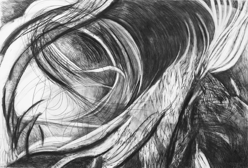 Landscapes & Drawings — Phyllis Wright Art