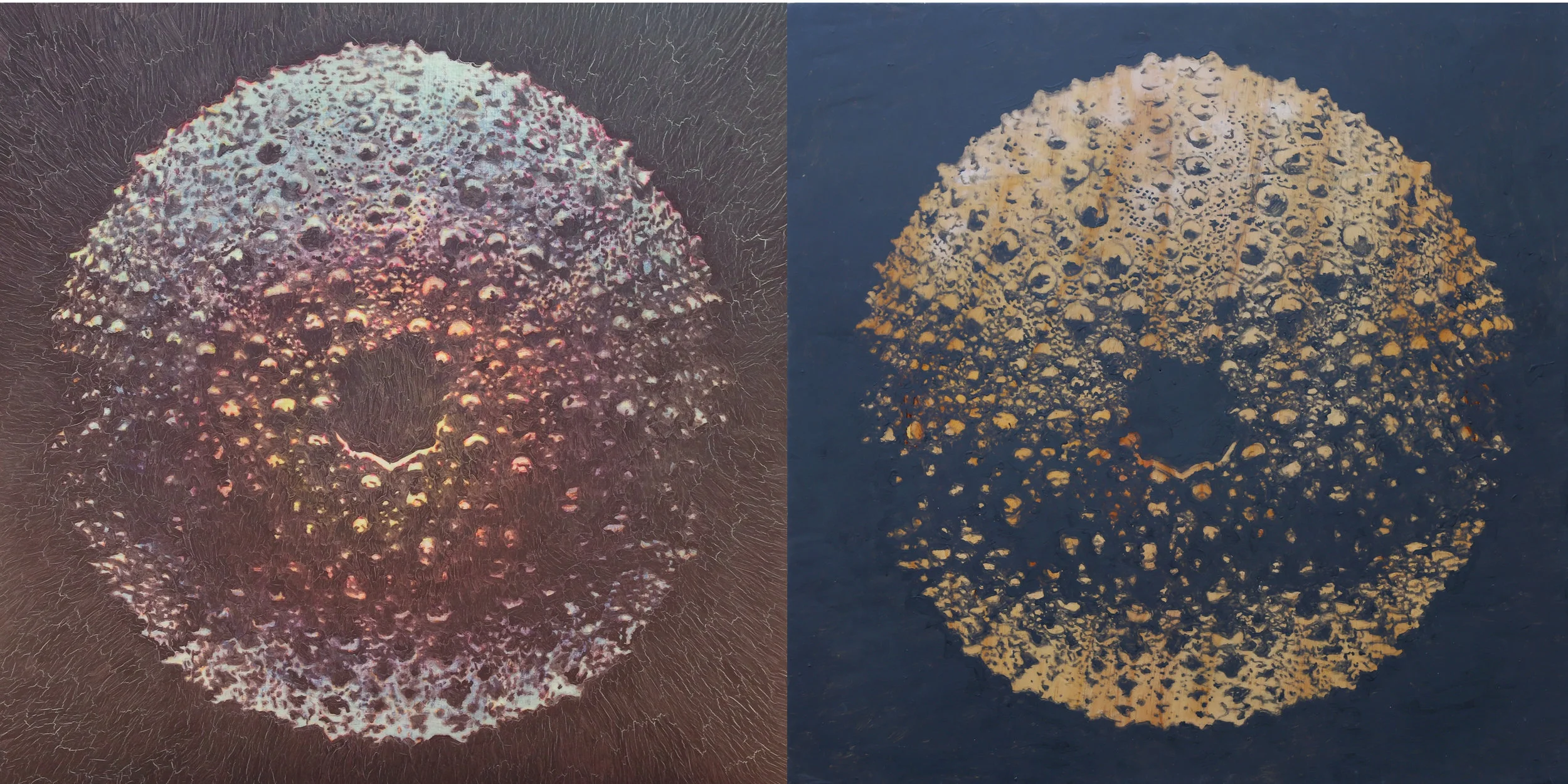 paintings — Charlie Callahan