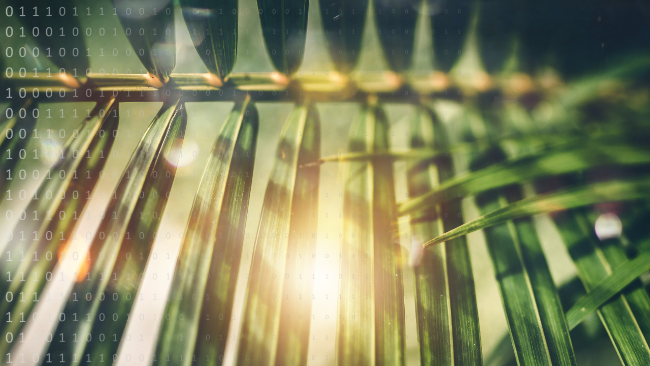 Green Software – eine neue Ära beginnt - sieber&partners