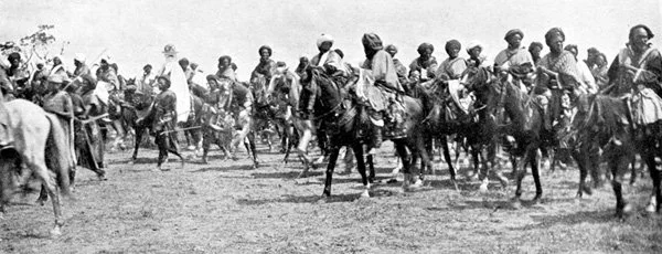Domestic Horses of Africa — Tetrapod Zoology