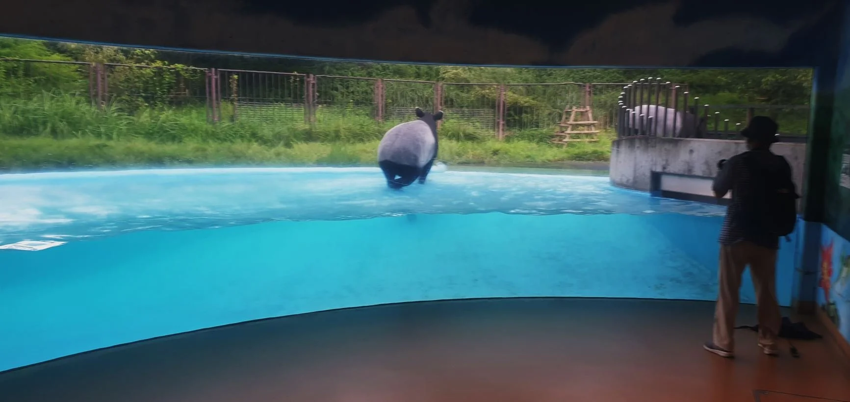 Tet Zoo Reviews Zoos: Tama Zoological Park, Tokyo — Tetrapod Zoology