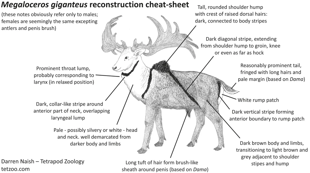 The Life Appearance of the Giant Deer Megaloceros — Tetrapod Zoology