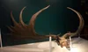 The Life Appearance of the Giant Deer Megaloceros — Tetrapod Zoology