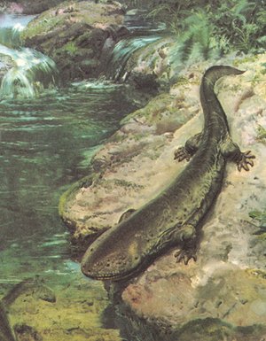 New Living Animals We Want to Find — Tetrapod Zoology