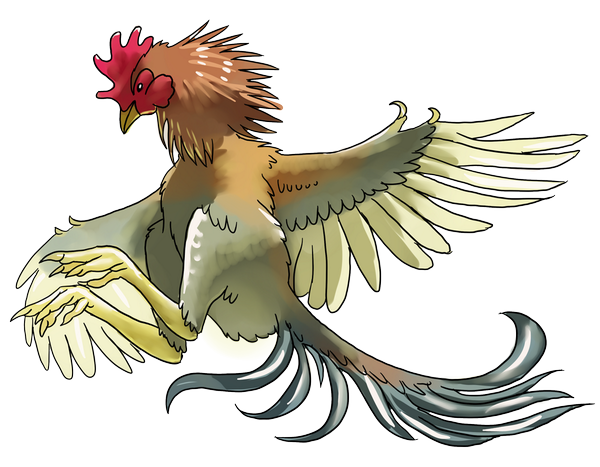 Aldrovandi’s Monstrous Rooster, a 16th Century Dino-Chicken — Tetrapod ...
