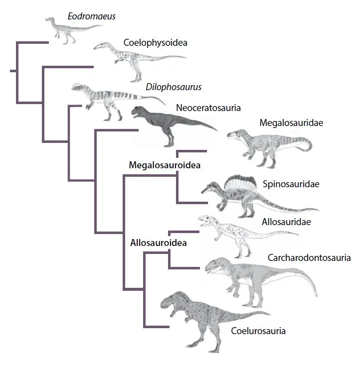 The Second Edition of Naish and Barrett’s Dinosaurs: How They Lived and ...