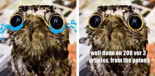 Potoos As An Internet Phenomenon — Tetrapod Zoology