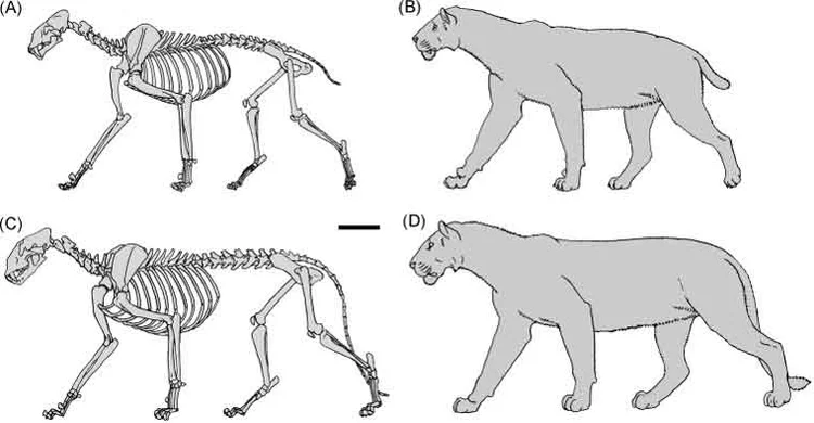 Five Famous Palaeolithic Rock Art Enigmas — Tetrapod Zoology