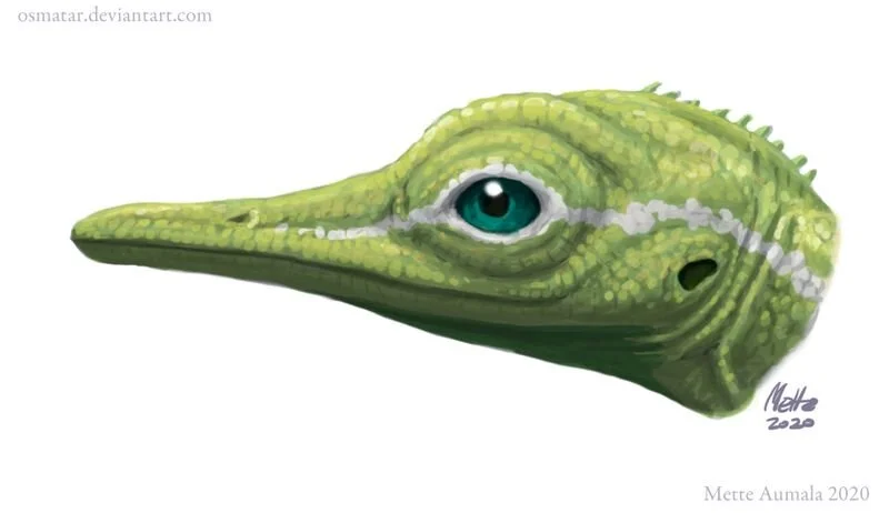 Minuscule Hummingbird-Sized Archaic Birds Existed During the Cretaceous ...