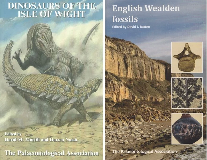 Theropod Dinosaurs of the English Wealden, Some Questions (Part 1 ...