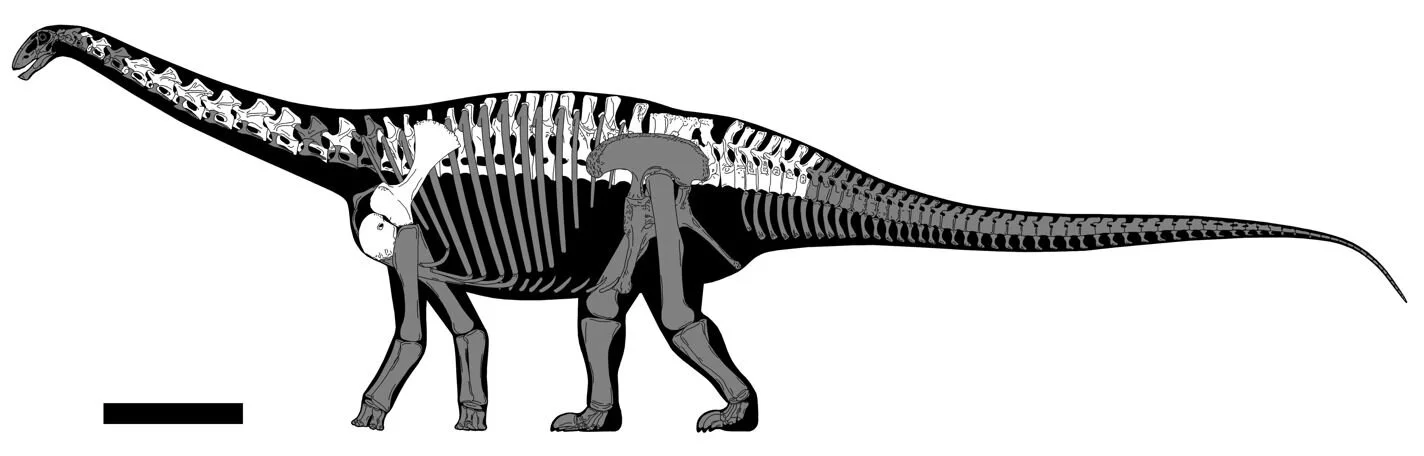 Stop Saying That There Are Too Many Sauropod Dinosaurs, Part 1 ...