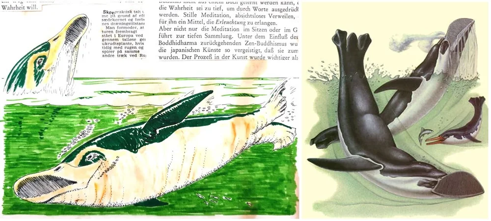 Dougal Dixon’s After Man, the Initial Pitch Document — Tetrapod Zoology