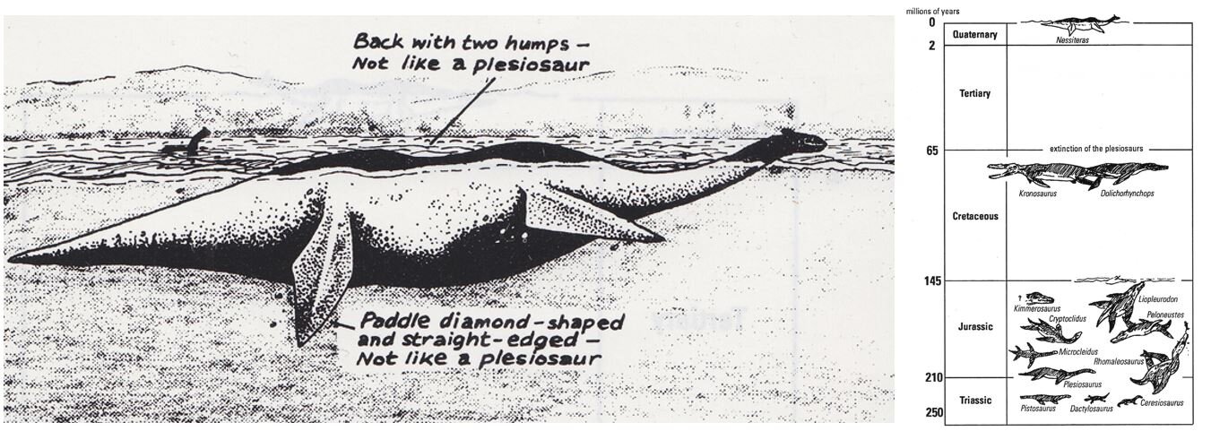 The 1972 Loch Ness Monster Flipper Photos — Tetrapod Zoology