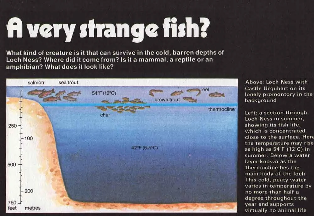 The 1972 Loch Ness Monster Flipper Photos — Tetrapod Zoology