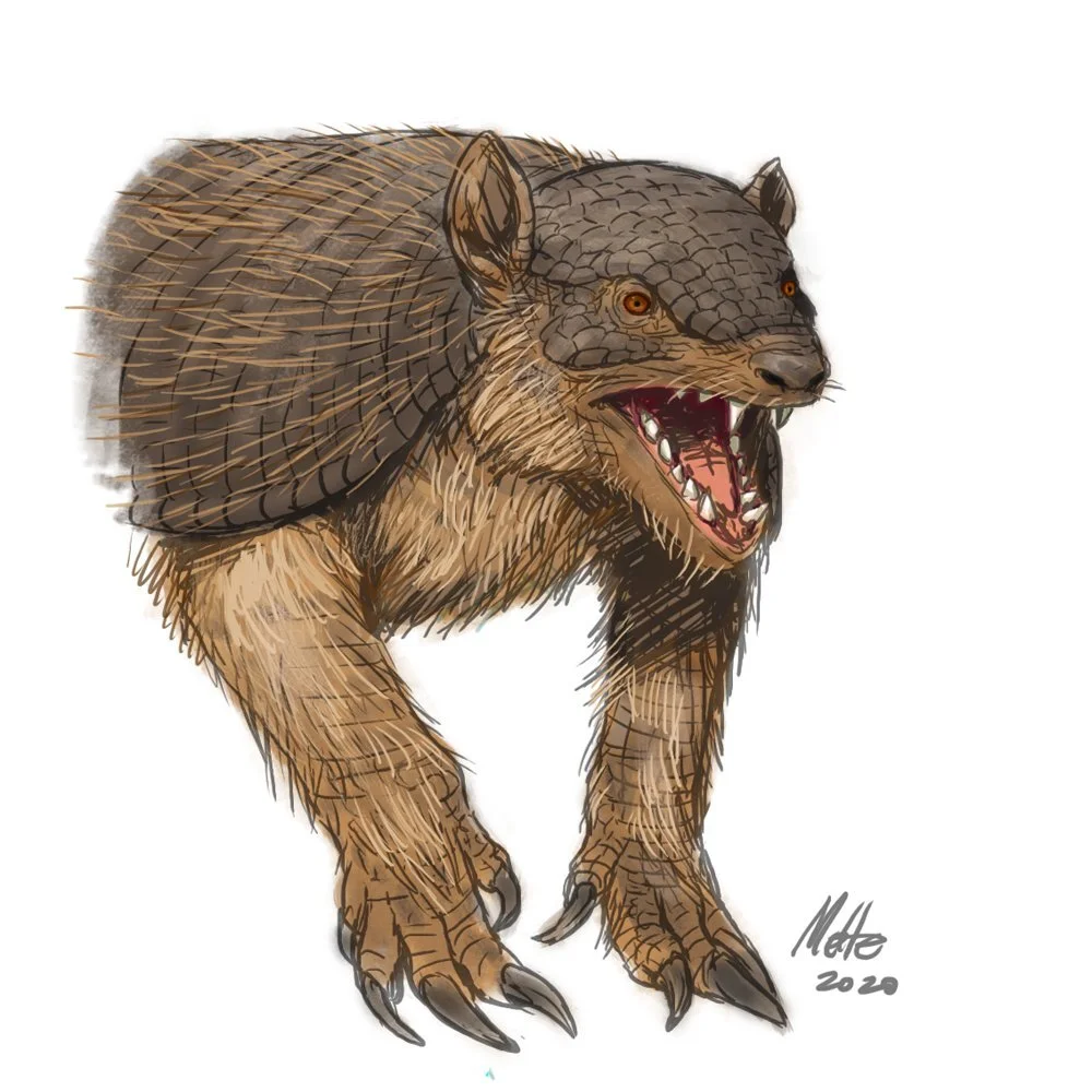 Predation and Corpse-Eating in Armadillos — Tetrapod Zoology