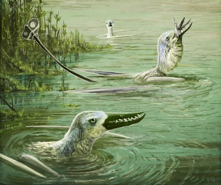 New Perspectives on Pterosaur Palaeobiology, the TetZoo Review ...