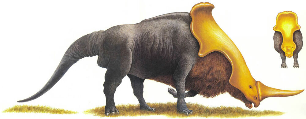 Trope of the Buffalo-Backed Dinosaur — Tetrapod Zoology