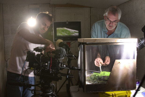 The Netflix Series Alien Worlds — Tetrapod Zoology