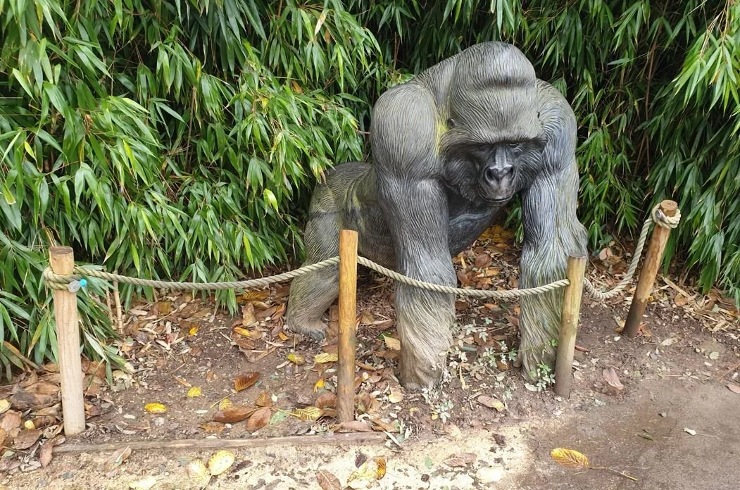 TetZoo Reviews Zoos: Bristol Zoo — Tetrapod Zoology