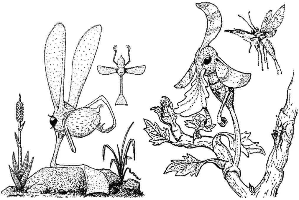 The Snouters or Rhinogradentians, a Brief Review — Tetrapod Zoology