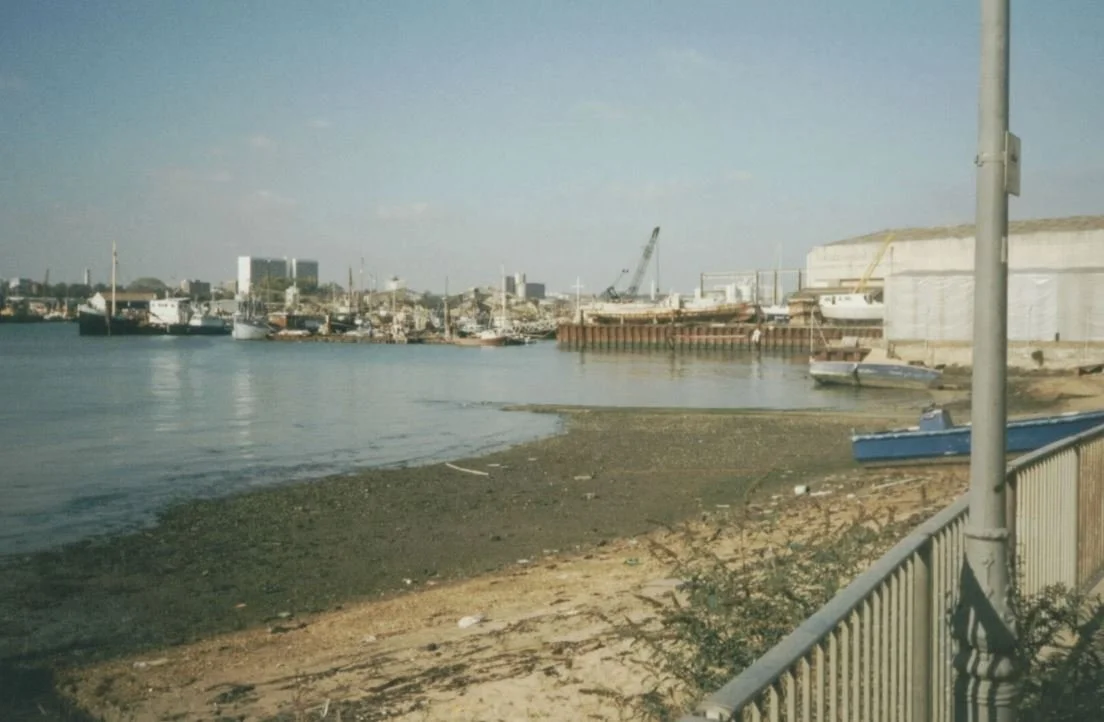 What Was the Montauk Monster? A Look Back to 2008 — Tetrapod Zoology