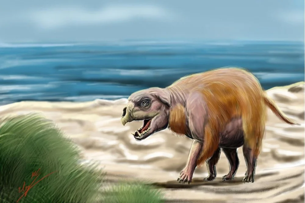 What Was the Montauk Monster? A Look Back to 2008 — Tetrapod Zoology