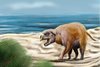 What Was the Montauk Monster? A Look Back to 2008 — Tetrapod Zoology