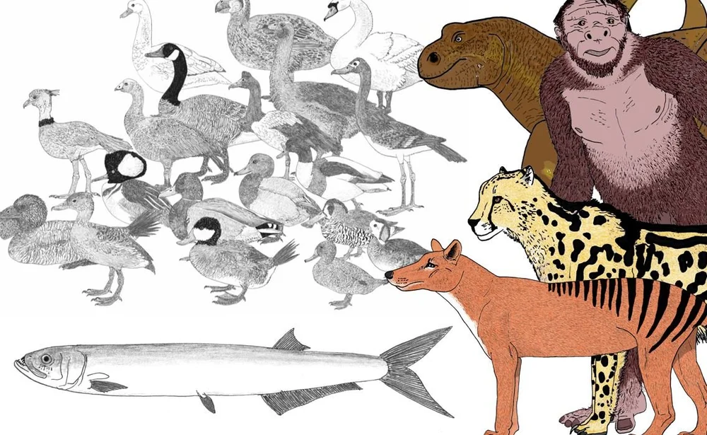 Five Years of Tetrapod Zoology ver 4 — Tetrapod Zoology