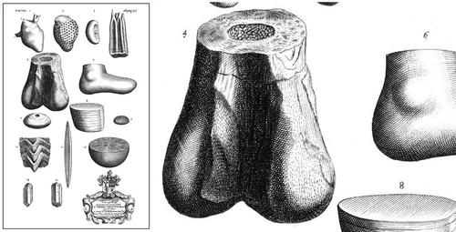 Robert Plot’s Lost Dinosaur Bone — Tetrapod Zoology
