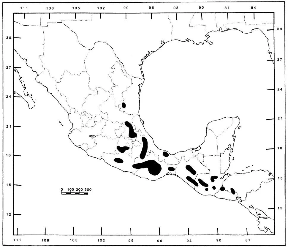Arboreal Alligator Lizards of Mesoamerica... and Beyond! — Tetrapod Zoology