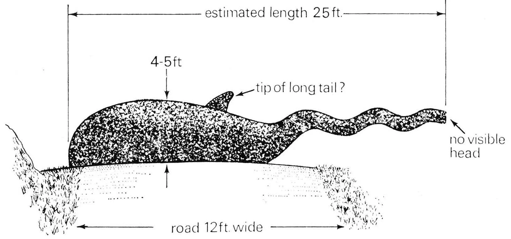 Nessie Point and Counterpoint; Who Owns the ‘Facts’ on the Loch Ness Monster? — Tetrapod Zoology