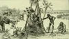 Piltdown Man and the Dualist Contention — Tetrapod Zoology