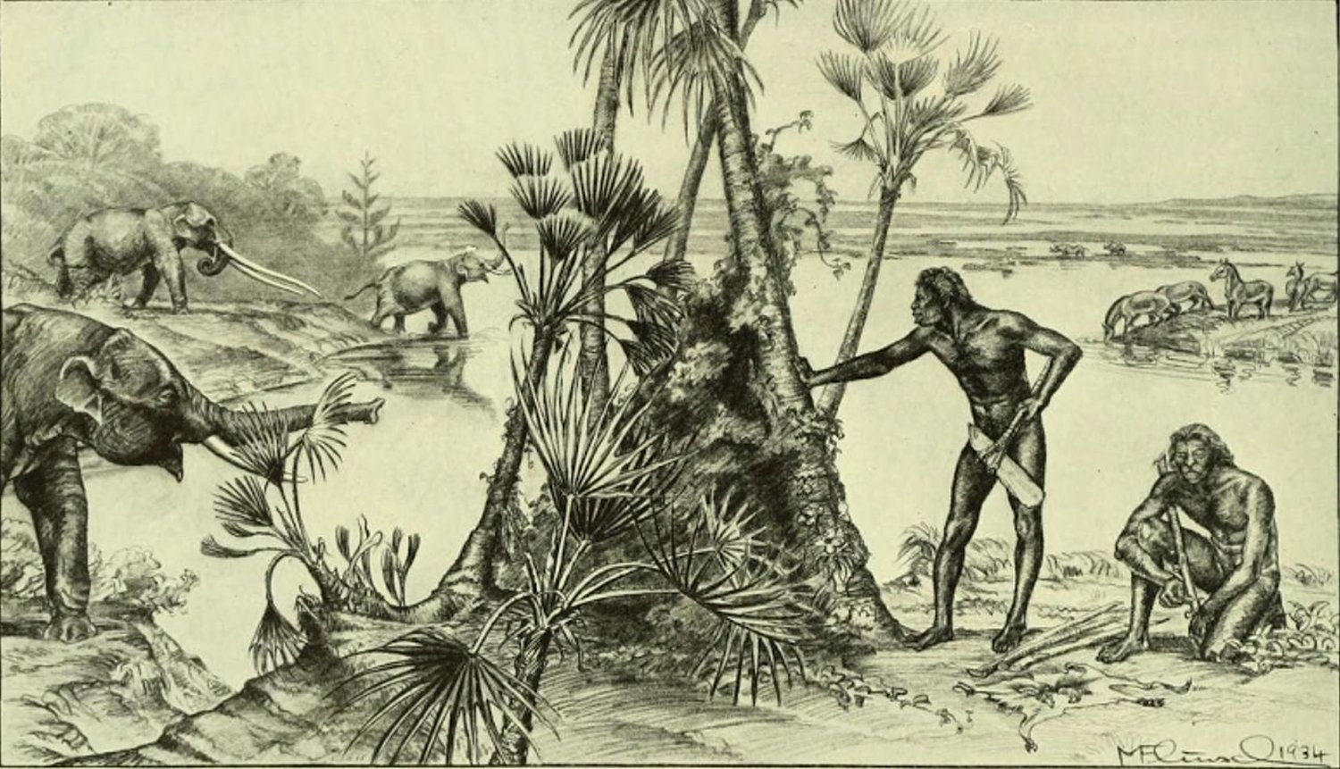Piltdown Man and the Dualist Contention — Tetrapod Zoology