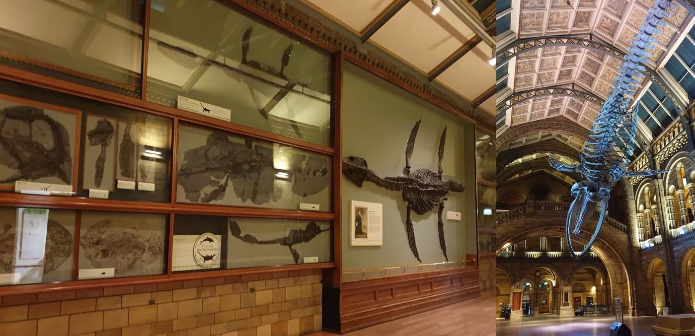 The 17th Year of Tetrapod Zoology: 2022 in Review — Tetrapod Zoology