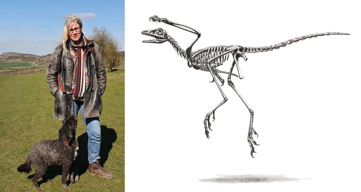 Announcing TetZooCon 2024, the 11th Tetrapod Zoology Convention ...