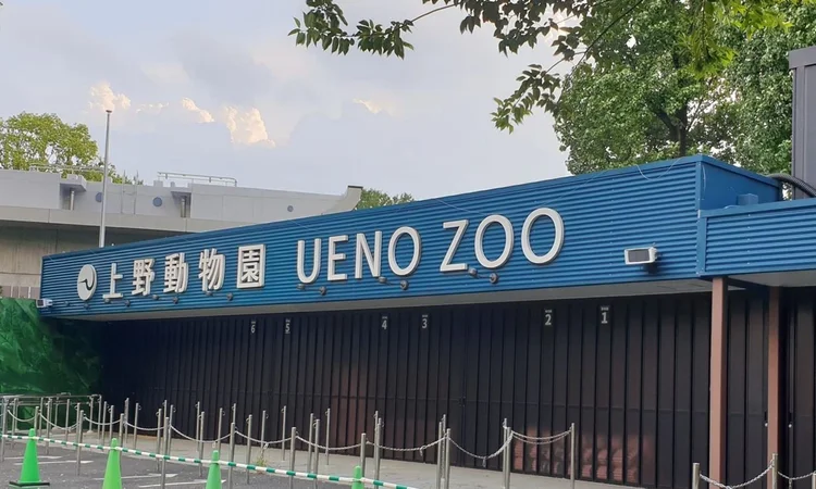 Tet Zoo Reviews Zoos: Tokyo’s Ueno Zoo — Tetrapod Zoology