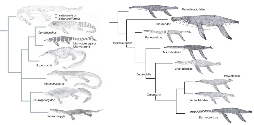 Ancient Sea Reptiles Is Out Now — Tetrapod Zoology