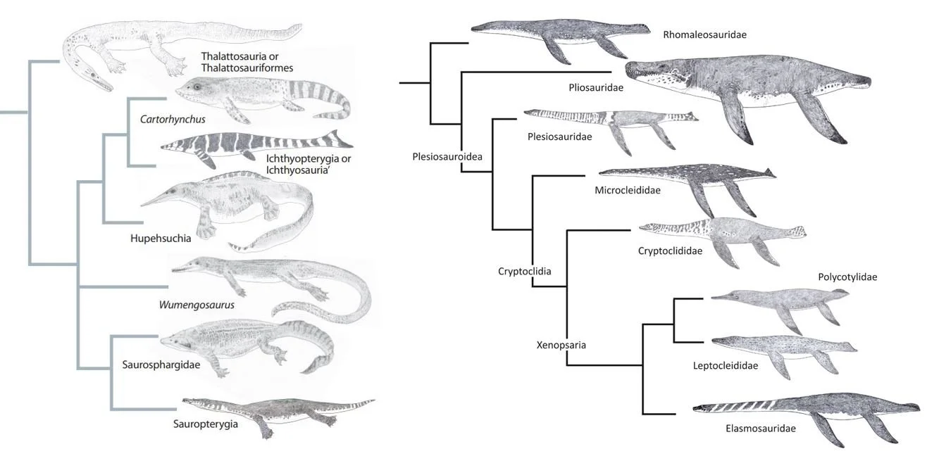 Ancient Sea Reptiles Is Out Now — Tetrapod Zoology