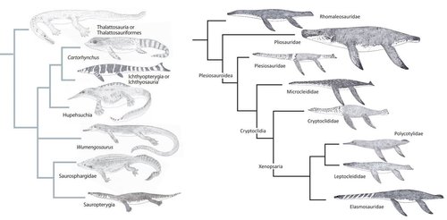 Ancient Sea Reptiles Is Out Now — Tetrapod Zoology