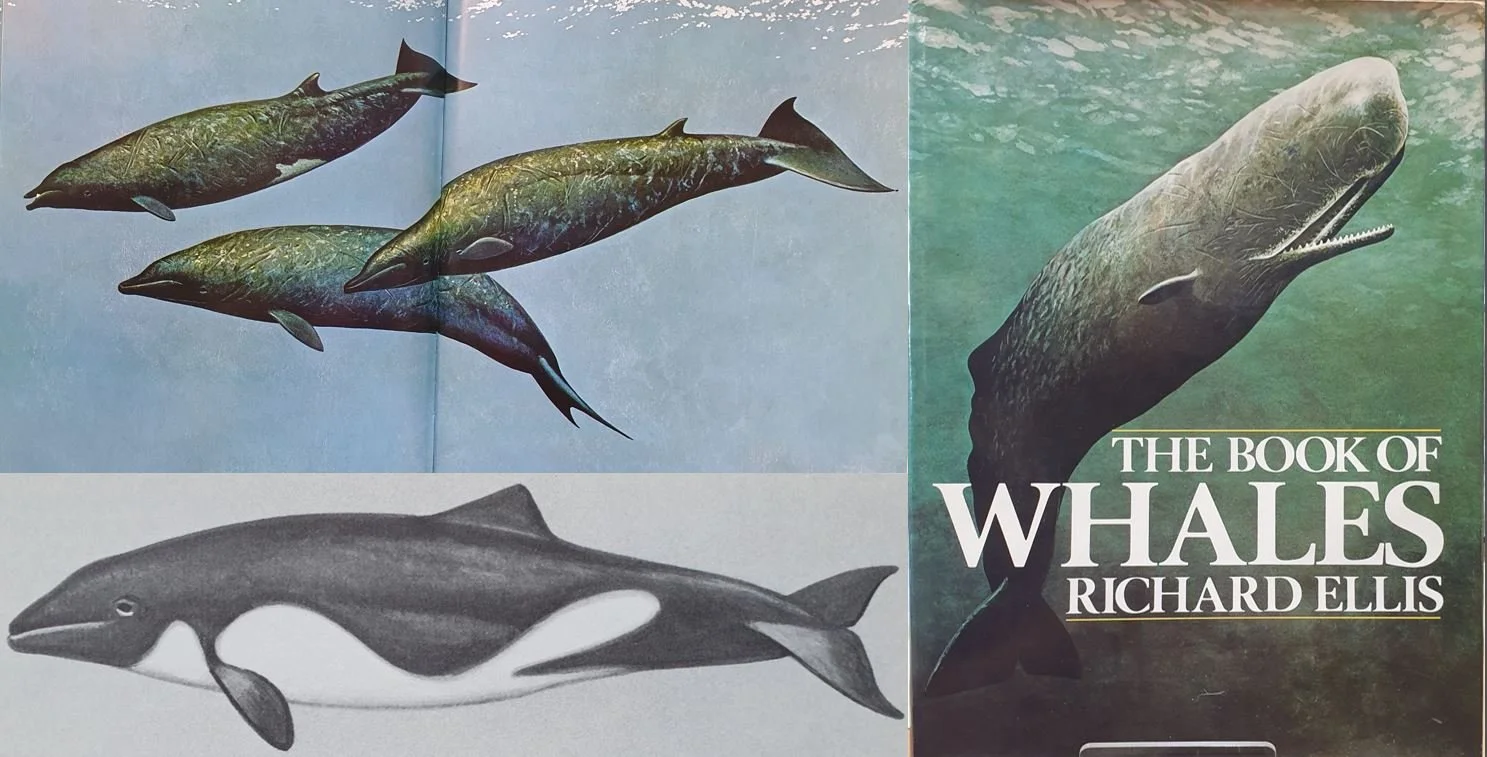 In Memory of Richard Ellis, Influential Artist and Author — Tetrapod ...