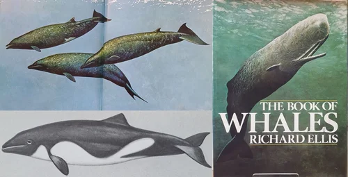 In Memory of Richard Ellis, Influential Artist and Author — Tetrapod ...