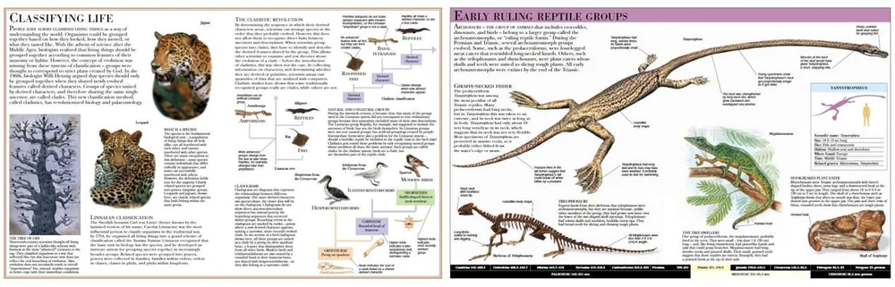 A Look Back at Dorling Kindersley’s 2001 Encyclopedia of Dinosaurs ...