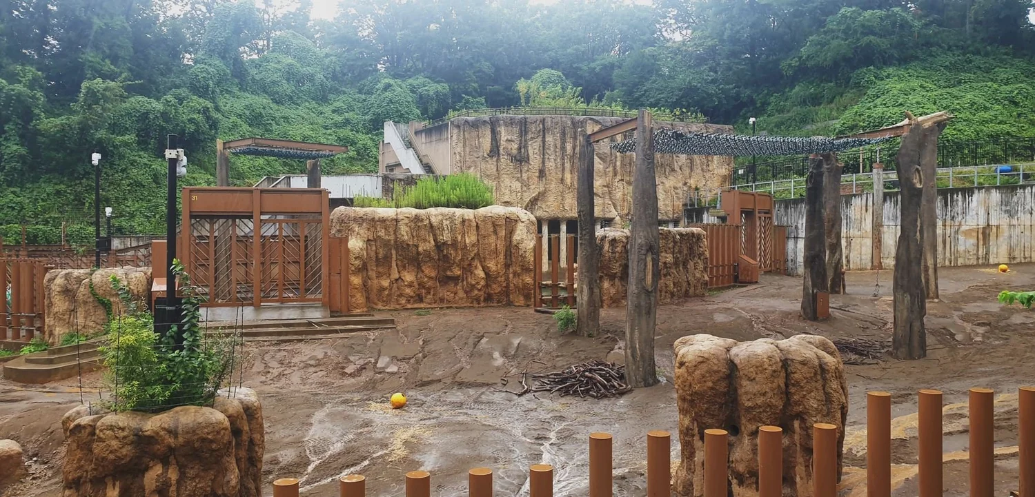 Tet Zoo Reviews Zoos: Tama Zoological Park, Tokyo — Tetrapod Zoology