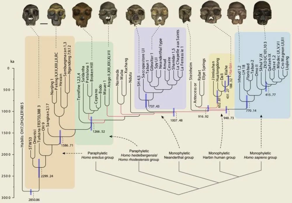 Curtis, Swisher and Lewin’s Java Man of 2000: Hominin-Themed Books ...