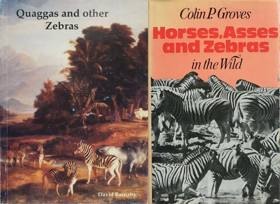 The Slightly Surprising Diversity of Zebras, Part 1 — Tetrapod Zoology