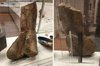 Robert Plot’s Lost Dinosaur Bone — Tetrapod Zoology